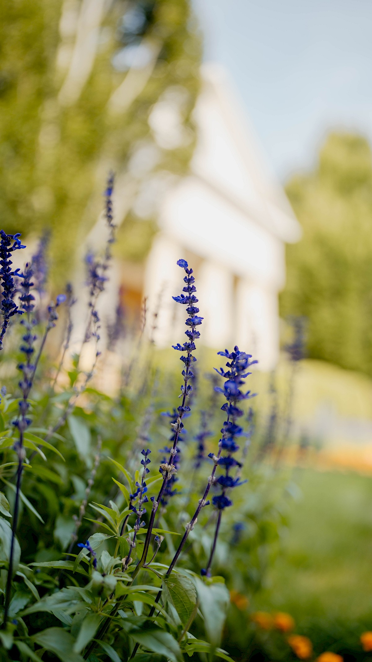 Full Benefits Breakdown